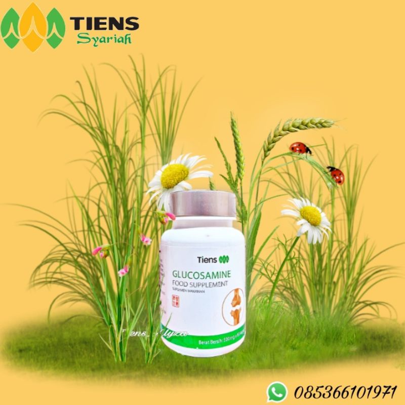 Jual Tianshi Glucosamine | Shopee Indonesia