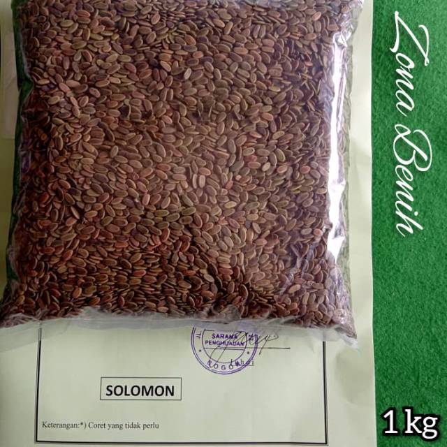 Jual Bibit SENGON SOLOMON Isi 1 Kg | Benih Sengon SOLOMON | Albasia ...