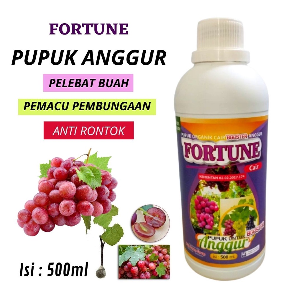 Jual Pupuk Anggur Cepat Berbuah Pupuk Buah Anggur Masa Pertumbuhan