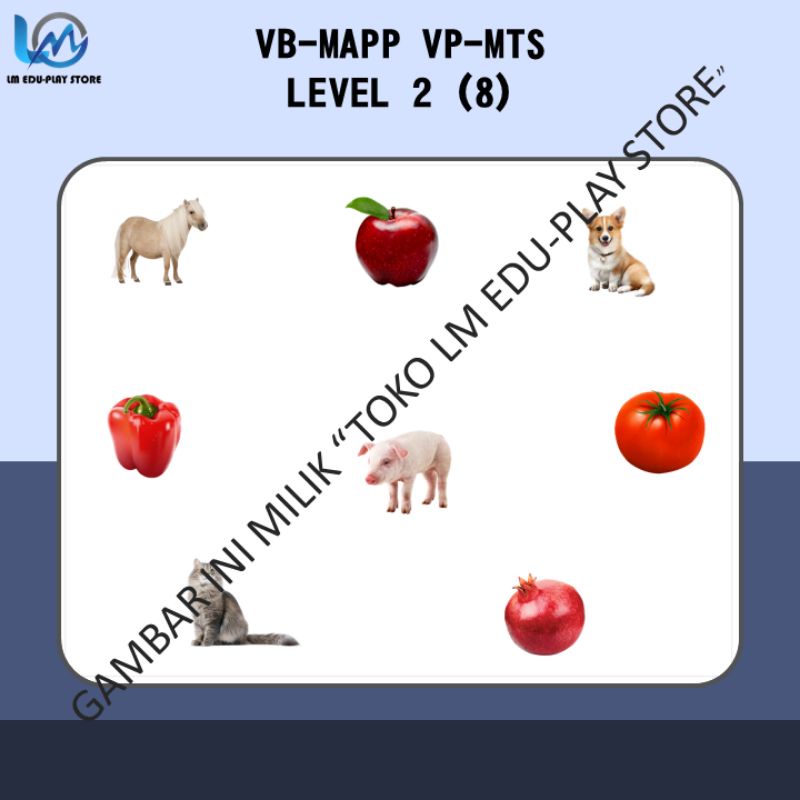 Jual Flashcard ABA VB-MAPP VP-MTS Level 2 (8) IP | Shopee Indonesia