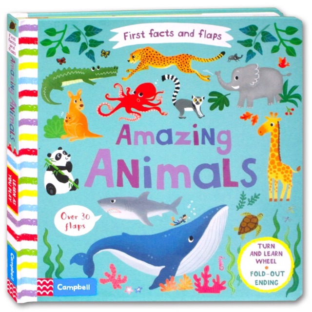 Jual First Facts and Flaps Book - Amazing Animals (Over 30 Flaps ...