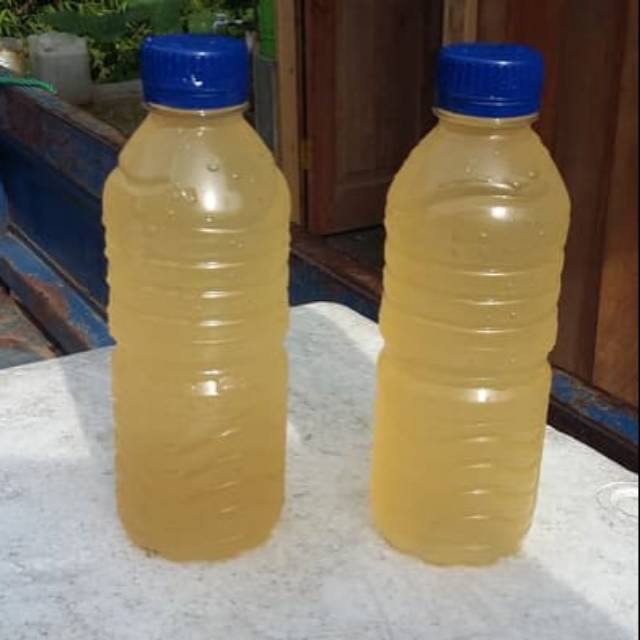 Jual air nira murni air pohon aren enau 400 grm | Shopee Indonesia