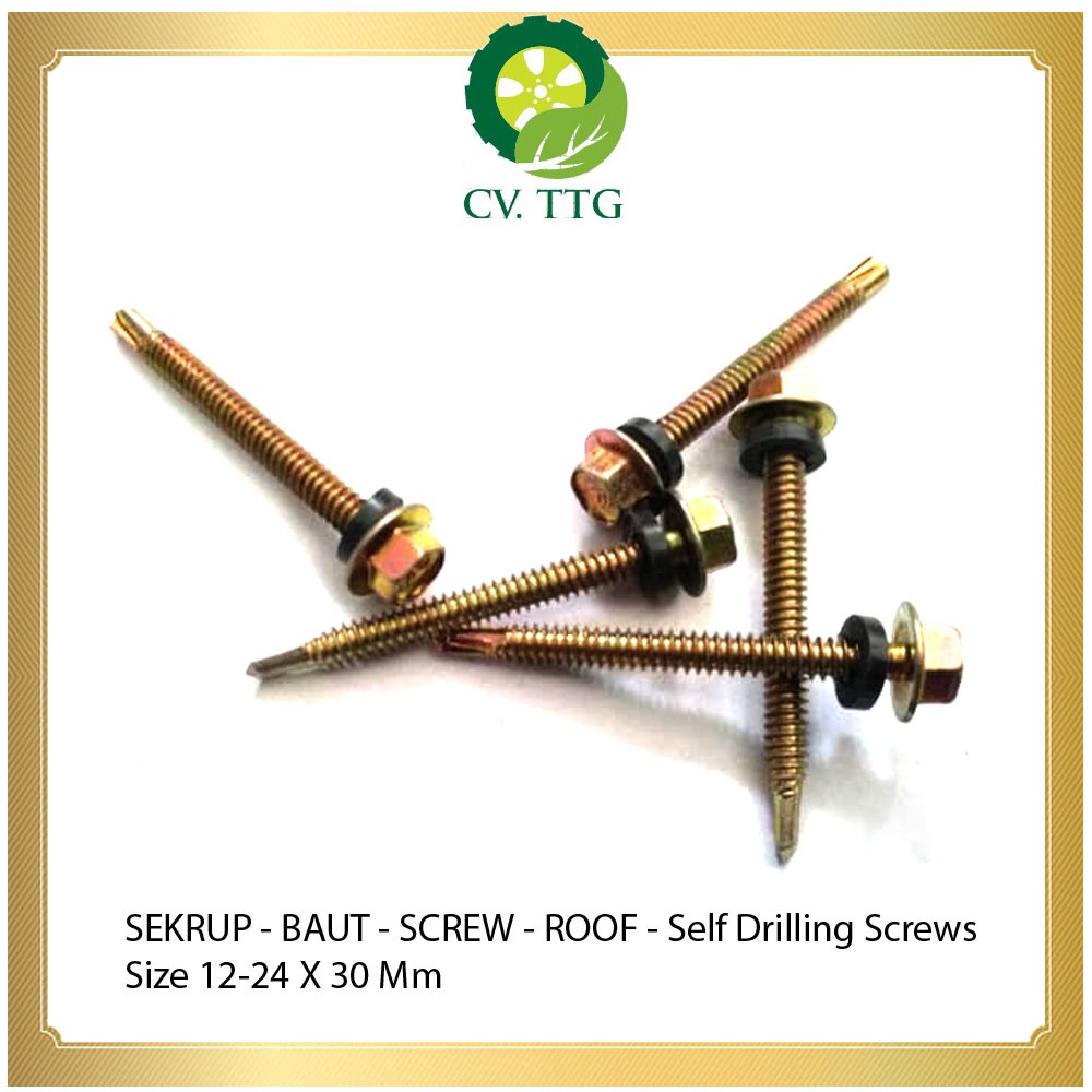 Jual SEKRUP - BAUT - SCREW - Self Drilling Screws Size 12-24 x 30 mm ...