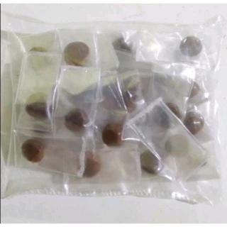 Jual getah inggu Harga Terbaik & Termurah Februari 2026 | Shopee Indonesia