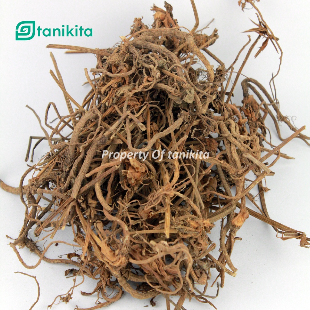Jual Akar Purwoceng Kering 500gr / Akar Purwaceng Kering Asli | Shopee ...