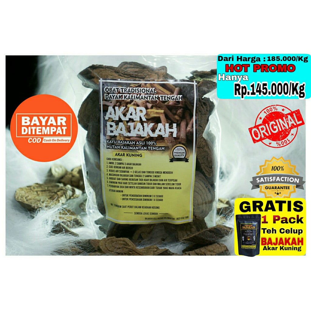 Jual 1kg Akar Kayu BAJAKAH AKAR KUNING Asli Hutan Kalimantan Tengah ...