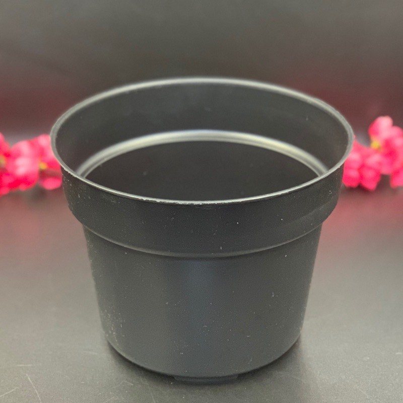 Jual Pot bunga hitam 20 FUJI STAR | Shopee Indonesia