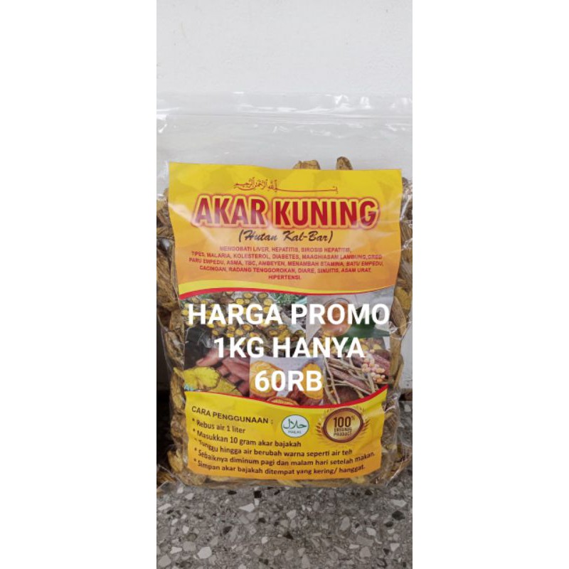Jual BAJAKAH AKAR KUNING 1KG (BONUS 100gr TAMPALA/AKAR KUNING) | Shopee ...