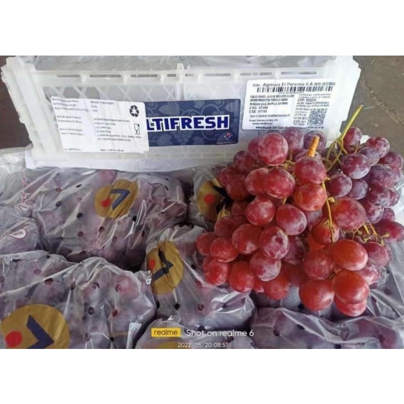 Jual anggur merah rrc | Shopee Indonesia