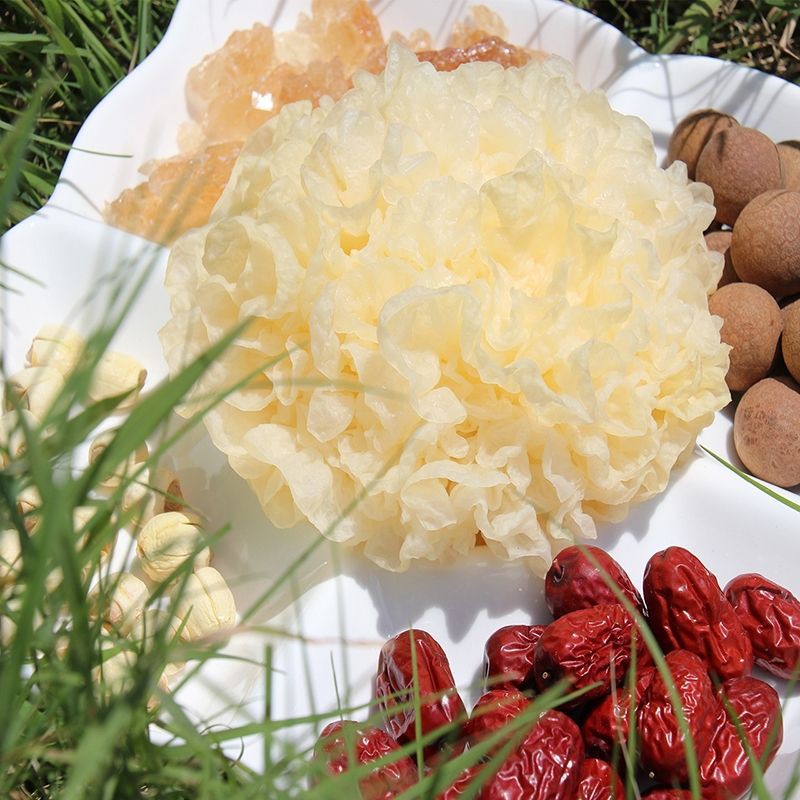 Jual Jamur Salju / Jamur Es / Snow White Fungus / Yin Er / Bai Mu Er 31 ...