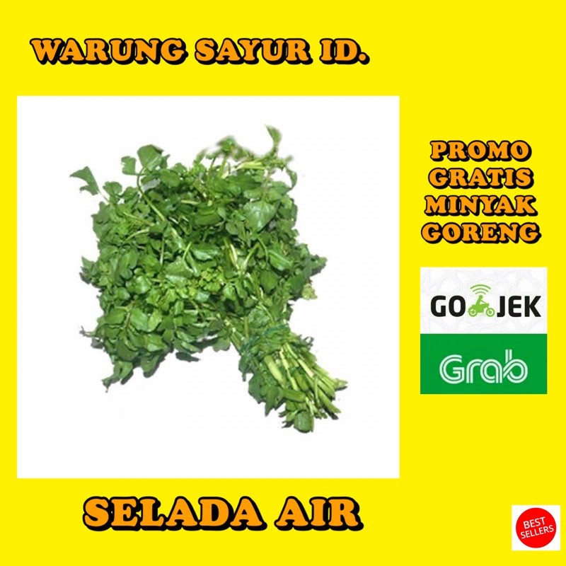 Jual SAYUR SELADA AIR PER 1 IKAT | Shopee Indonesia