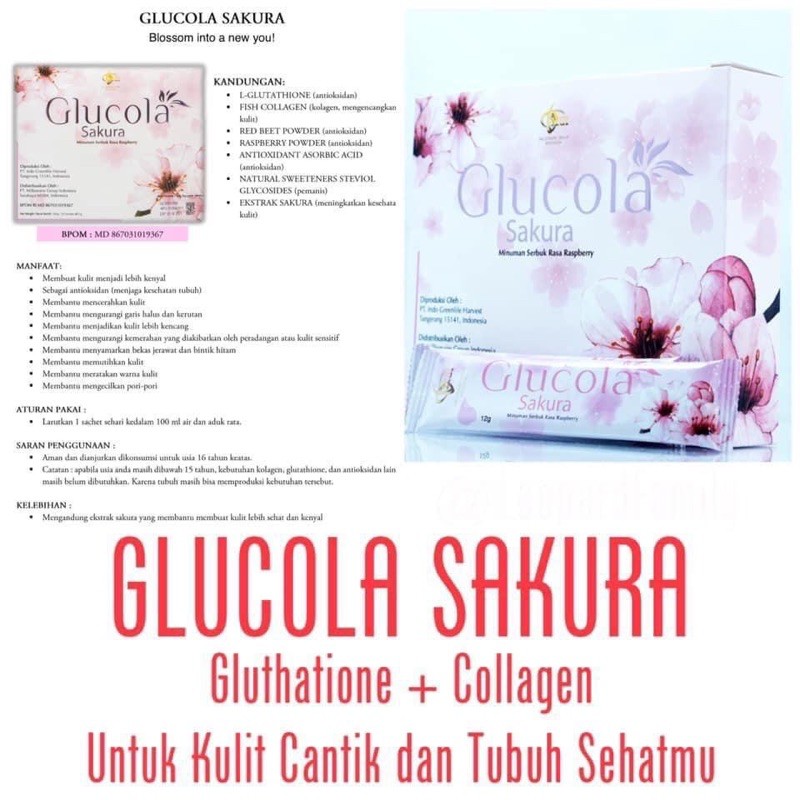 Jual Glucola Sakura Collagen Glutathione 1 Box isi 20sachet ORIGINAL ...