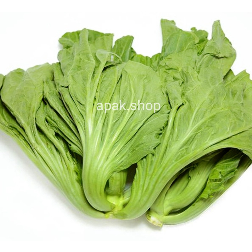 Jual Sayur Sawi Pahit 500 gram | Shopee Indonesia