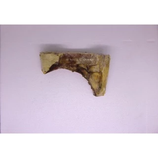 Jual Rahang Tuna Terlengkap & Harga Terbaru April 2024 | Shopee Indonesia