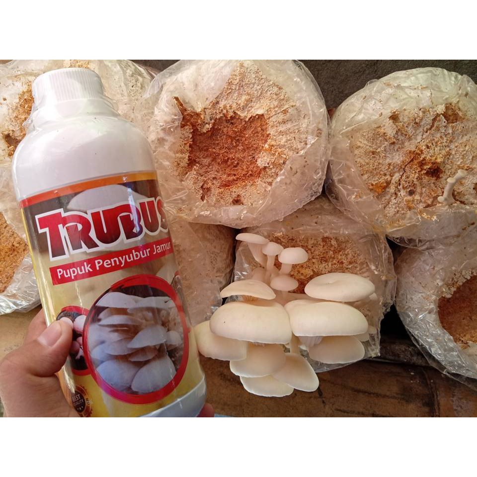 Jual [MANJUR] Trubus 1Liter, Grosir Obat Pemacu Pertumbuhan Jamur Tiram ...