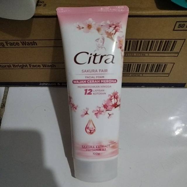 Jual Citra facial foam 100gr sakura fair | Shopee Indonesia