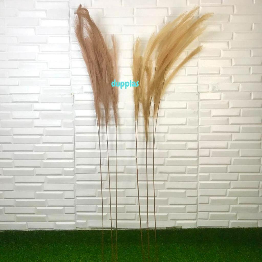 Jual Tanaman Hias Tangkai Bunga Kering Rustik Pampas Grass Dried ...