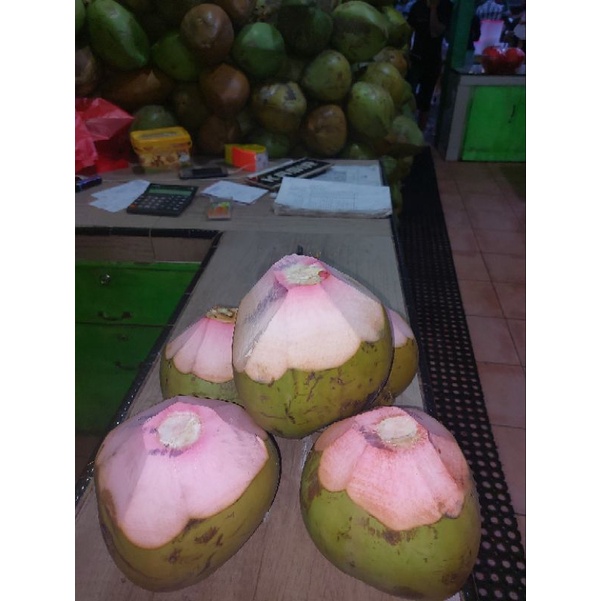 Jual KELAPA IJO UKURAN SEDANG | Shopee Indonesia