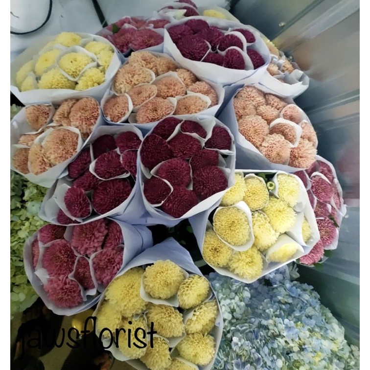 Jual Bunga Gompie | Shopee Indonesia