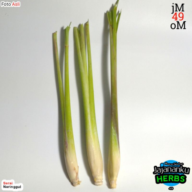Jual Batang Serai 100gr Segar Murah Dipanen Dadakan Asli Fresh JSR ...