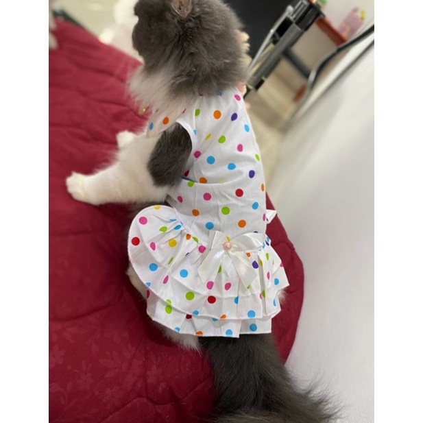 Jual Baju kucing dress polka putih untuk kucing atau anjing size S-XL | Shopee Indonesia