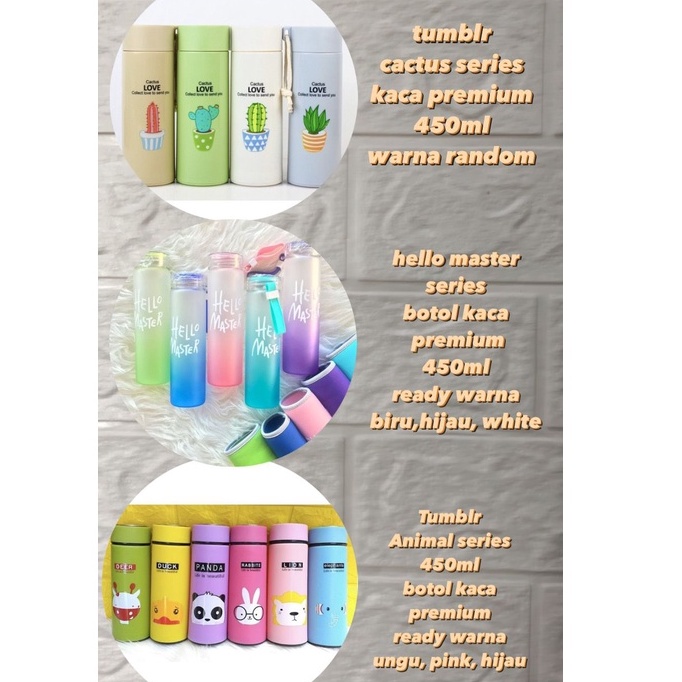 Jual Botol Minum I hello master bottle Botol cactus Tumblr | Shopee ...