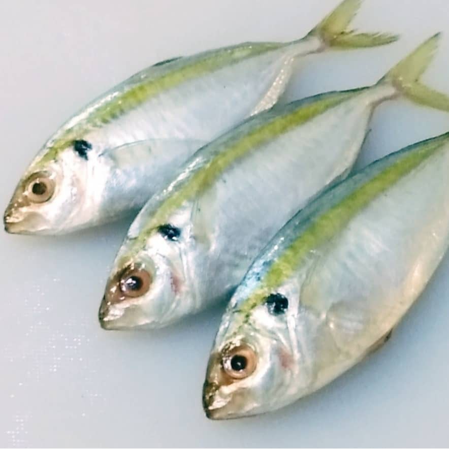 Jual Ikan selar 1Kg | Shopee Indonesia