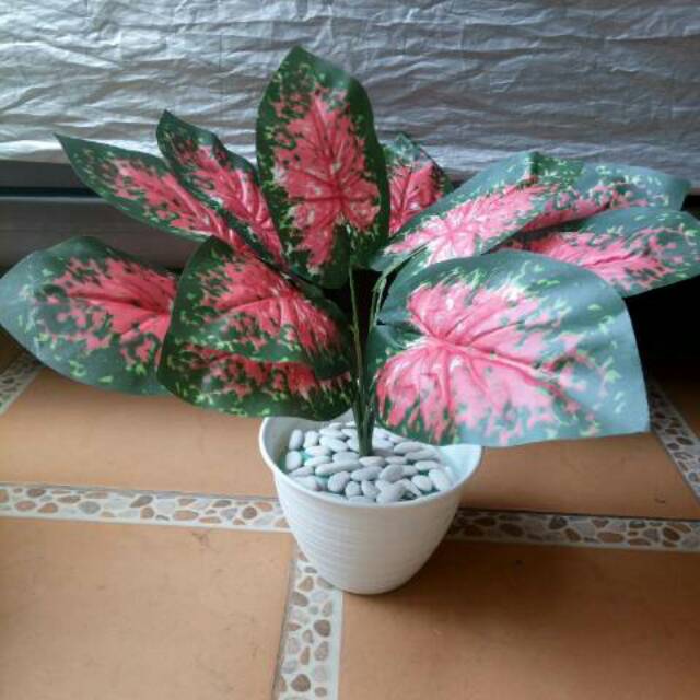Jual Artificial tanaman agronema dengan vas tawon+batu alam | Shopee ...