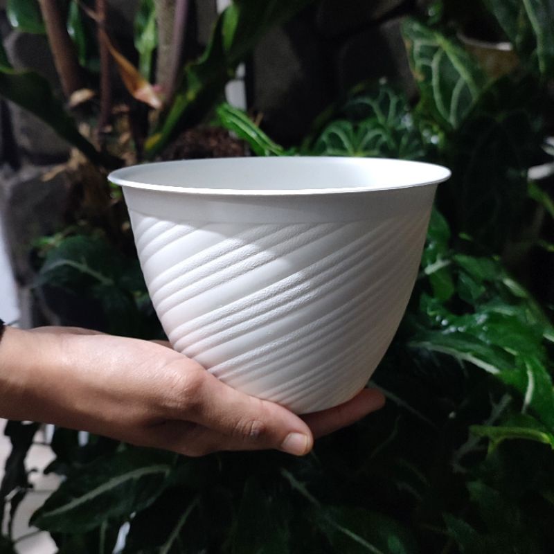 Jual Pot Bunga Tawon Bulat Pendek Plastik 17, 15, 10 - Putih | Shopee ...