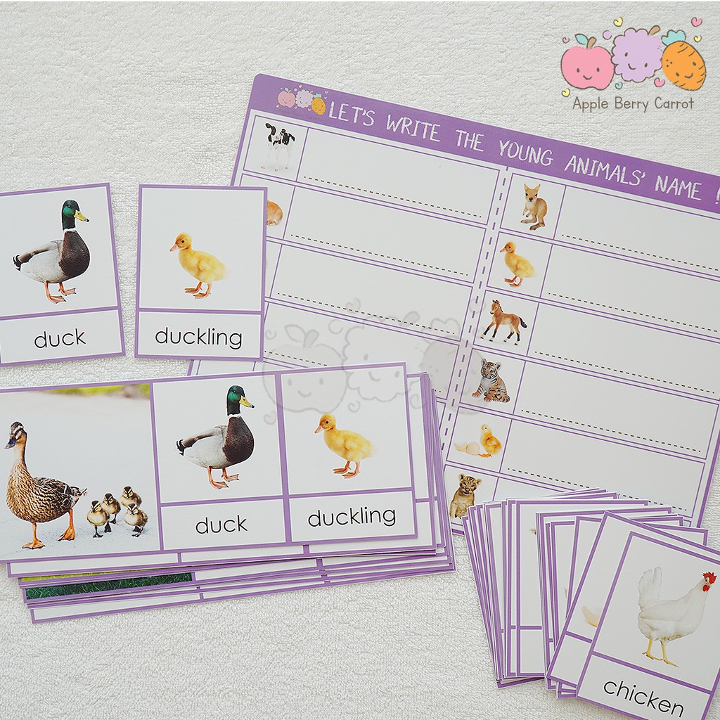 Jual ANIMALS AND THEIR BABY PLAY CARDS | Shopee Indonesia