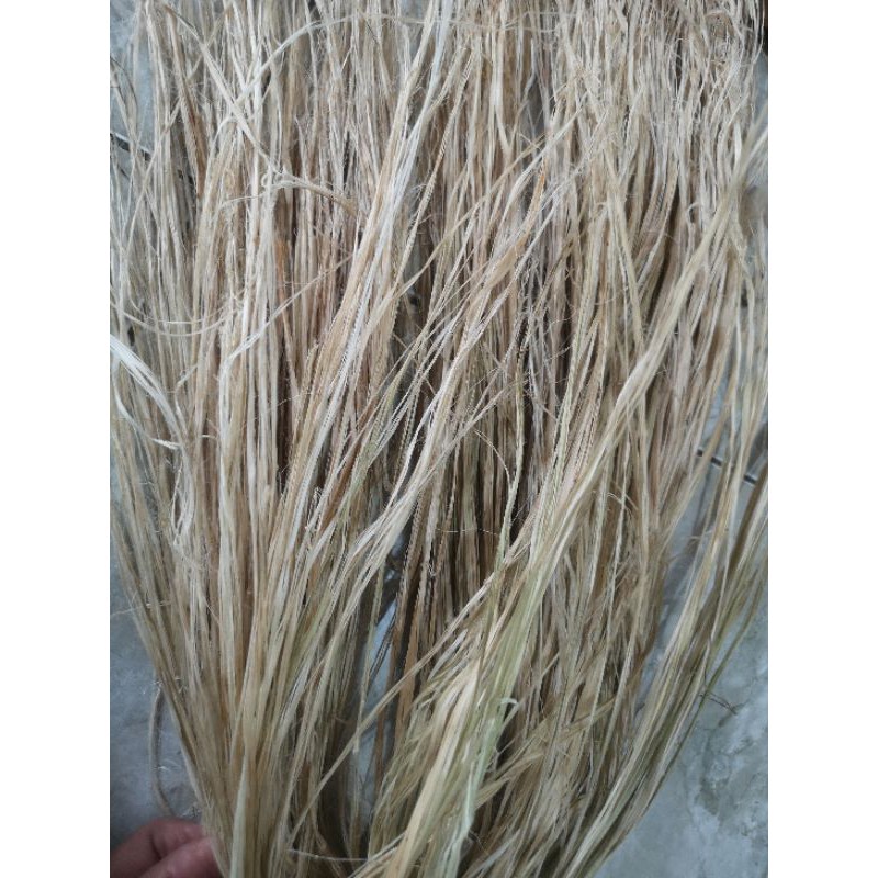 Jual serat alam Nanas agave serabut rami asli komposit fiber geraisurya ...
