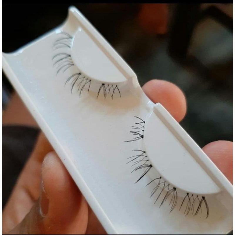 Jual Bulumata bawah W67 lusinan (12pasang) | Shopee Indonesia