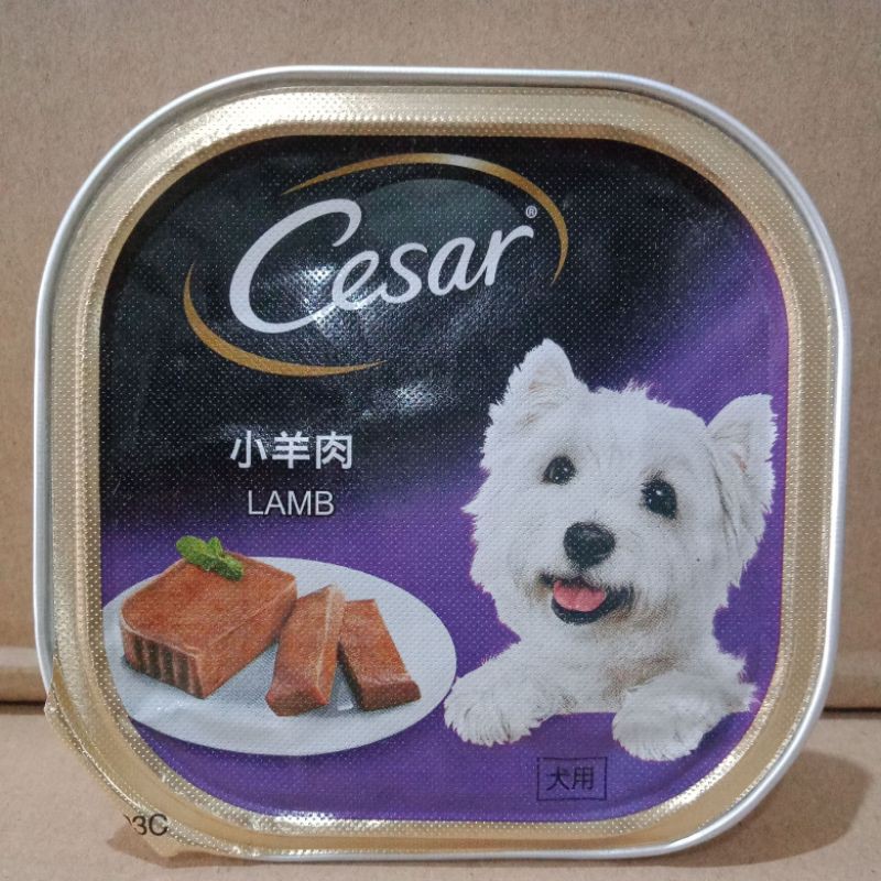 Jual Makanan Anjing CESAR 100 gram Tray LAMB | Shopee Indonesia