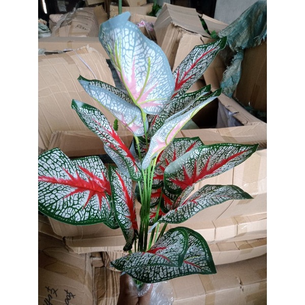 Jual daun beras Utah/ daun keladi artificial MURAH | Shopee Indonesia