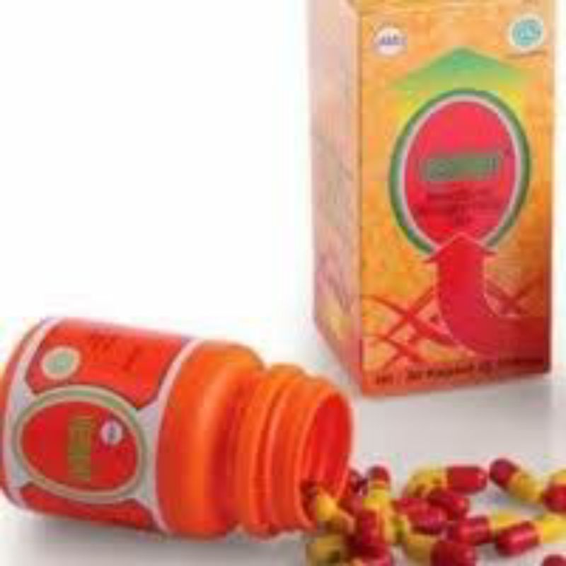 Jual VERMINT KAPSUL EKSTRAK CACING (OBAT TYPUS & DEMAM) | Shopee Indonesia