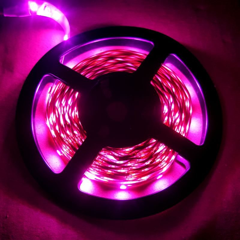 Jual Led Strip 3528 Lampu Plafon Indoor 5 Meter 12 Volt | Shopee Indonesia