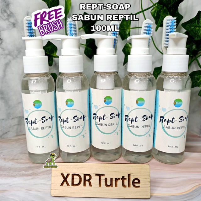 Jual MR.VET REPT-SOAP 100ml FREE BRUSH SABUN REPTIL KURA DARAT PYTHON ...