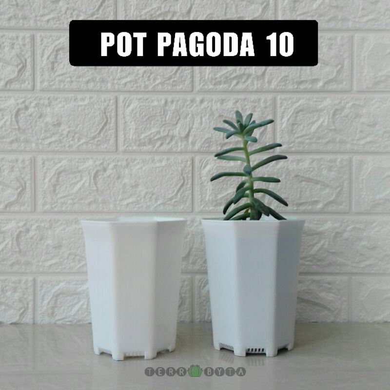 Jual Terrabyta - Pot Minimalis - Pot NKT Pagoda 10 | Shopee Indonesia