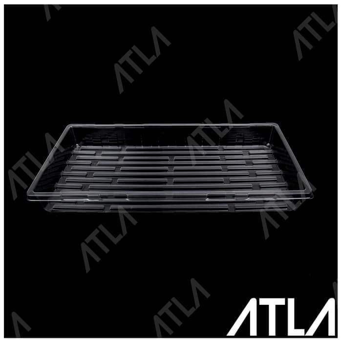 Jual Tutup Nampan Alas Tray Semai Transparant Bening Benih Nampan KT039 ...