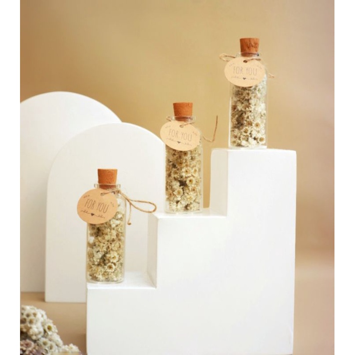 Jual Bunga Kering Dalam Botol Mini 30ml Dried Flower In Jar Dried