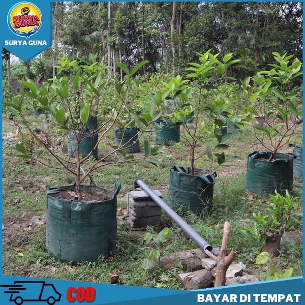 Jual Planter Bag Tabulampot Tulungagung 45 Liter Untuk Pohon Mangga ...