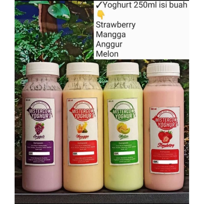 Jual YOGHURT VARIAN RASA ISI ASLI BUAH 250ml | Shopee Indonesia