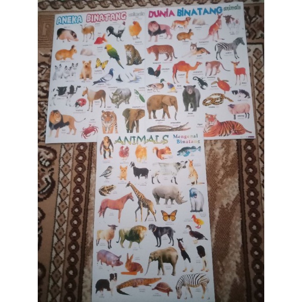 Jual READY POSTER EDUKASI ANAK BELAJAR MENGEJA ABC HURUF TEGAK ALAT ...