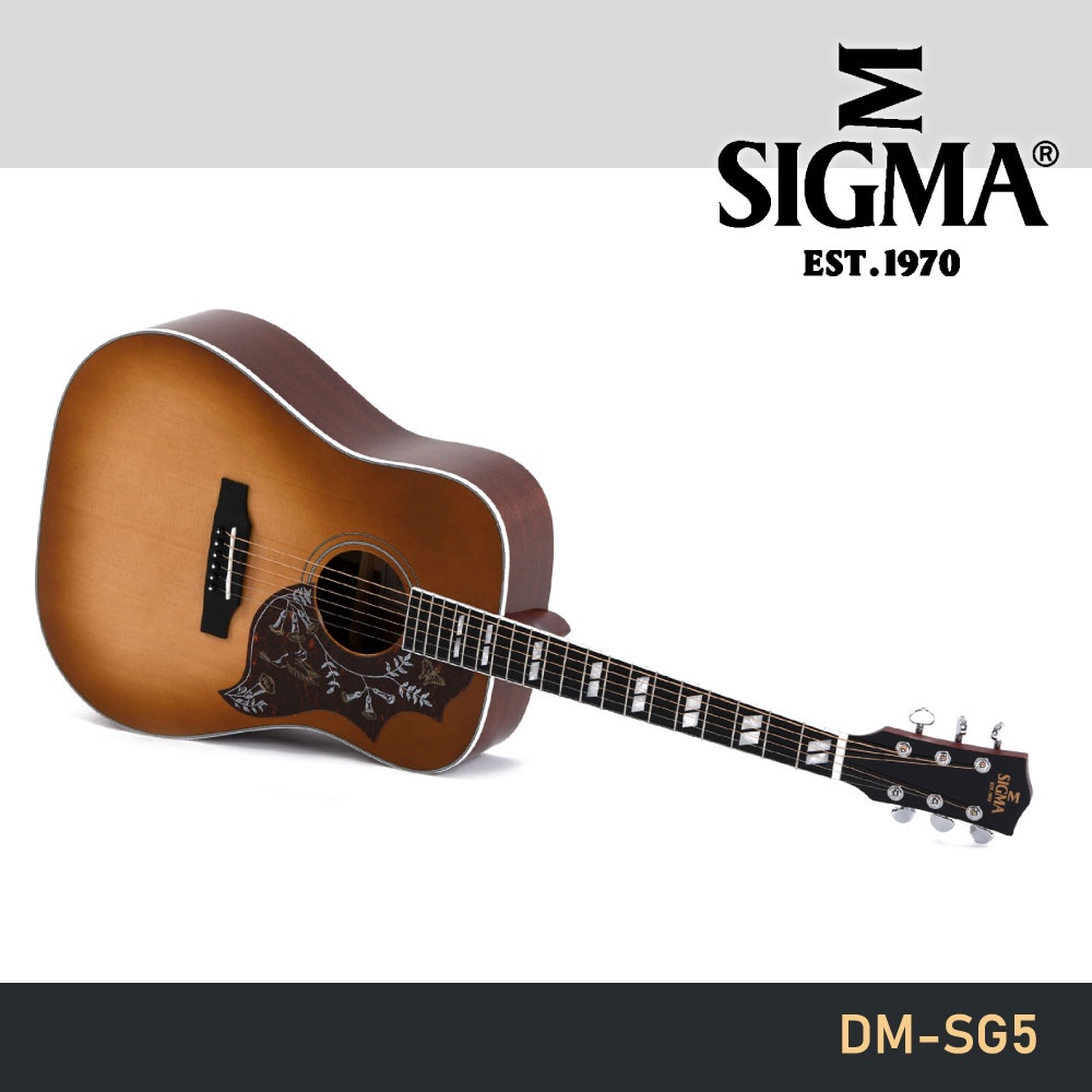Jual Sigma DM-SG5 Acoustic Electric Guitar With Gigbag | Shopee Indonesia