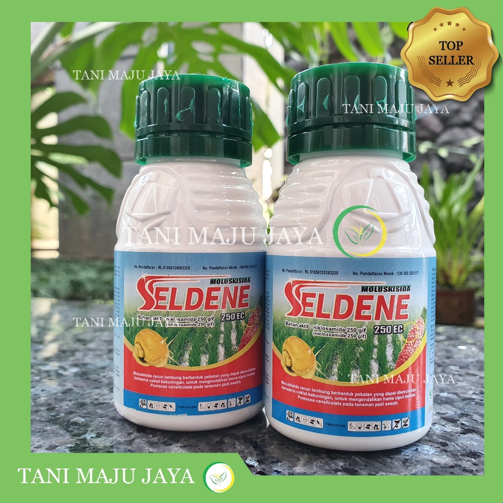 Jual Insektisida Moluskisida Seldene 250EC 100 ml Pembasmi Hama Siput ...