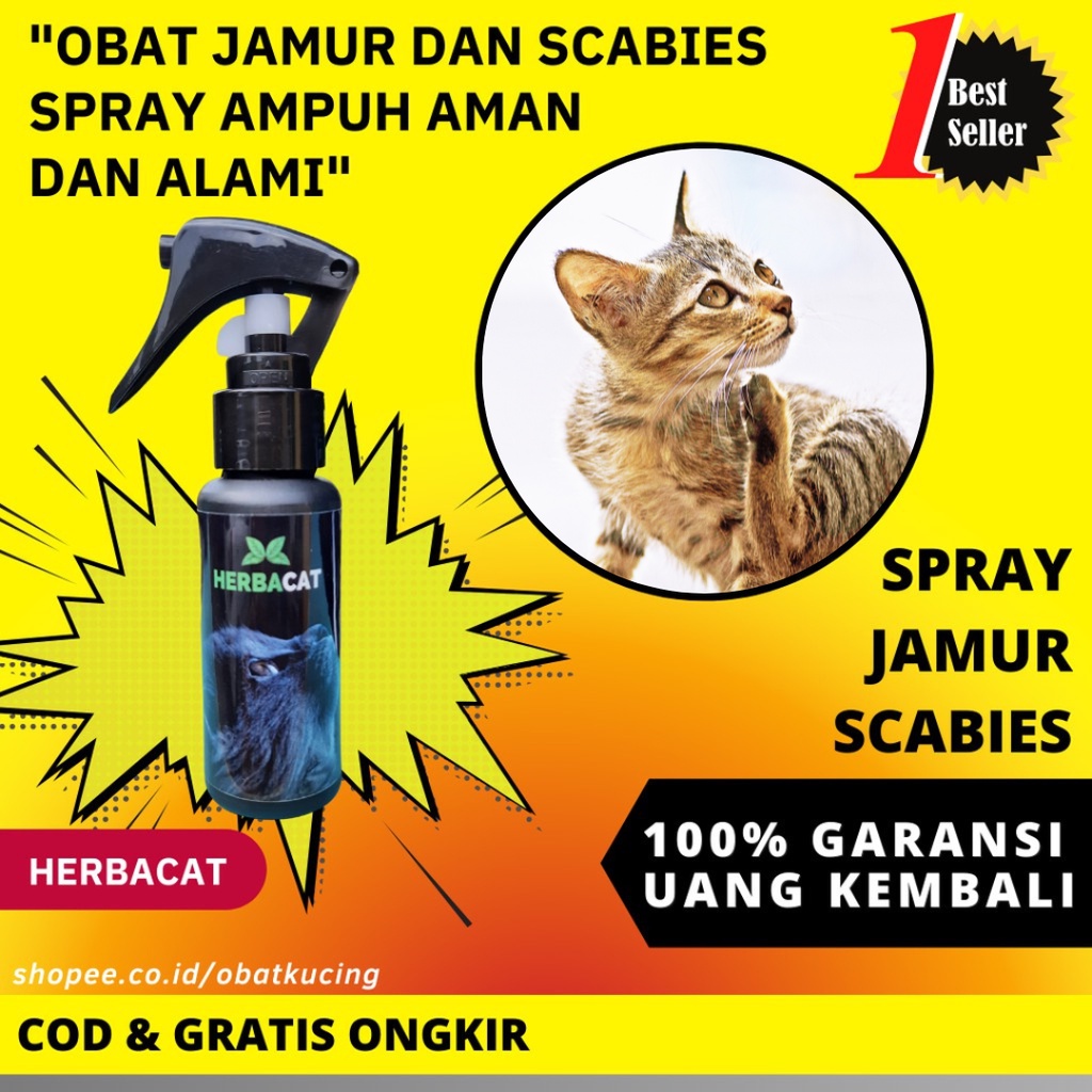 Jual Spray Jamur Kucing Obat Jamur Scabies Kucing HerbaCat Alami ...