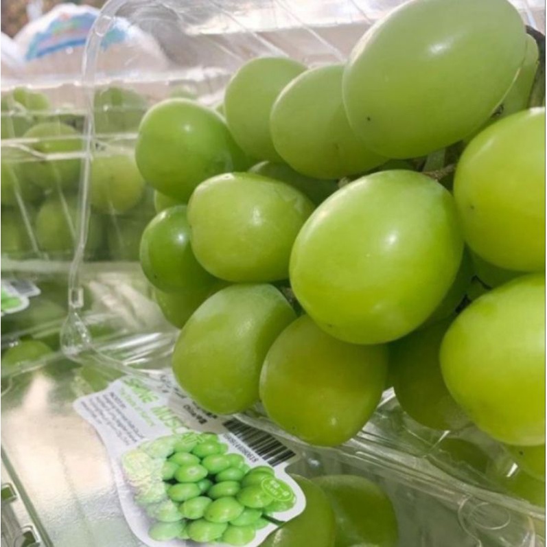 Jual BUAH ANGGUR MUSCAT SEEDLESS MANIS IMPORT | Shopee Indonesia