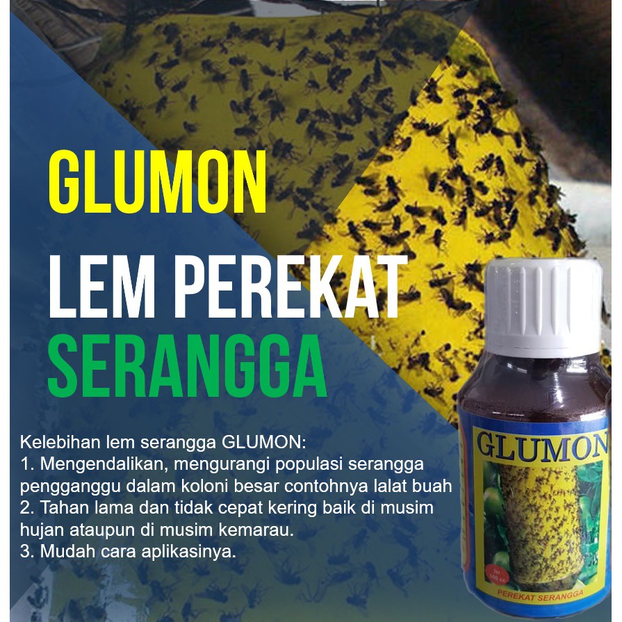Jual GLUMON 100cc Lem Perangkap Serangga dan Hama Tanaman | Shopee ...