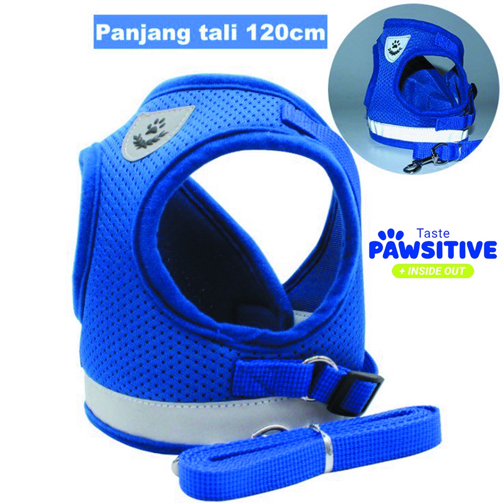 Jual Tali Kucing Harness Anjing Kucing TALI TUNTUN KUCING TALI Anjing ...