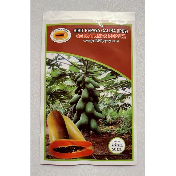 Jual Benih Biji Pepaya Calina Pack - 1 Gram - Agro Tunas | Shopee Indonesia